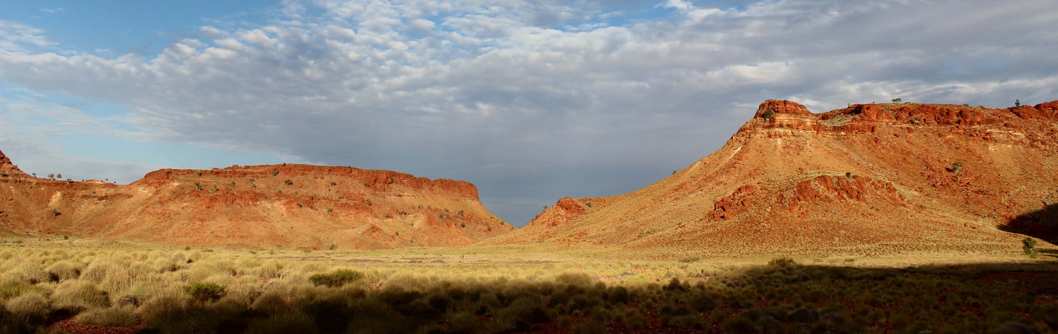 Building resilience to change: Pilbara mammals - The Western Australian ...