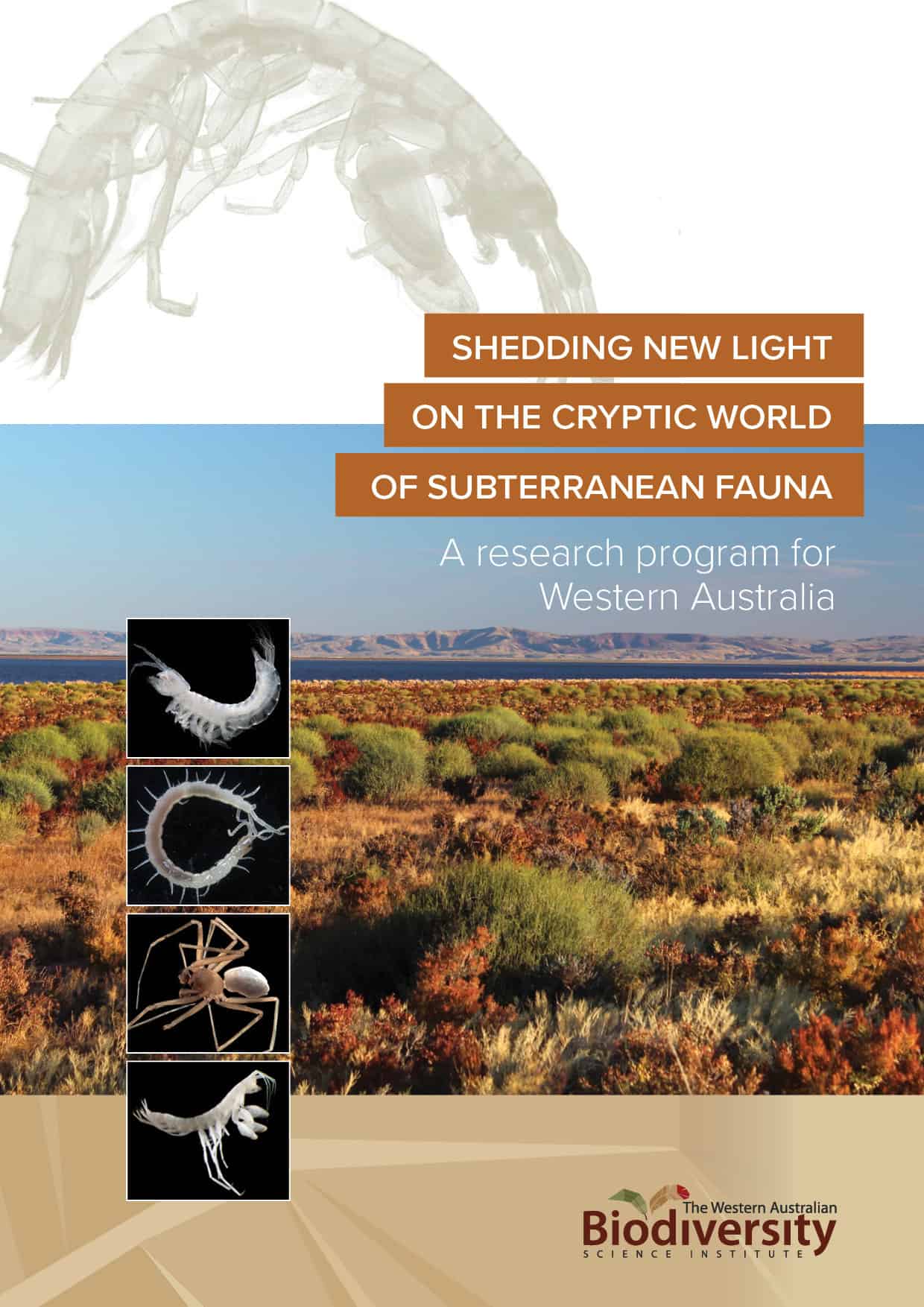Subterranean Fauna: A research program for Western Australia - The ...