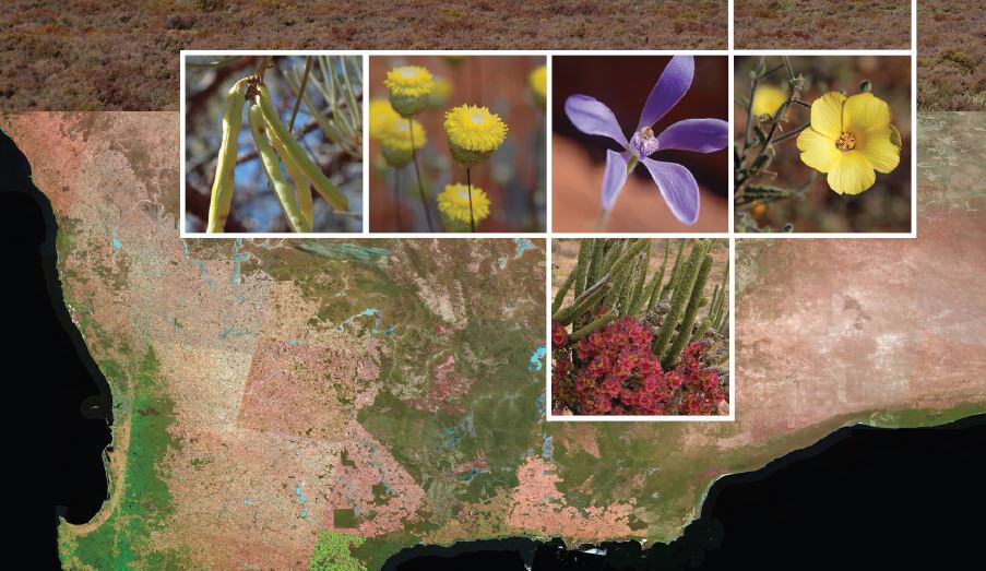 Remote sensing of native vegetation extent and condition - The Western ...