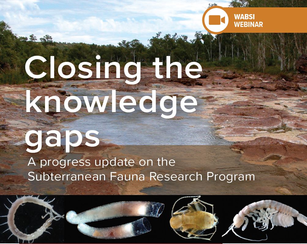 WABSI webinar: Closing the knowledge gaps: Subterranean Fauna Research ...