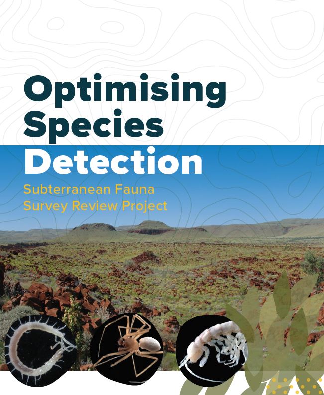 Survey Review Project Report, Subterranean Fauna Research Program - The ...