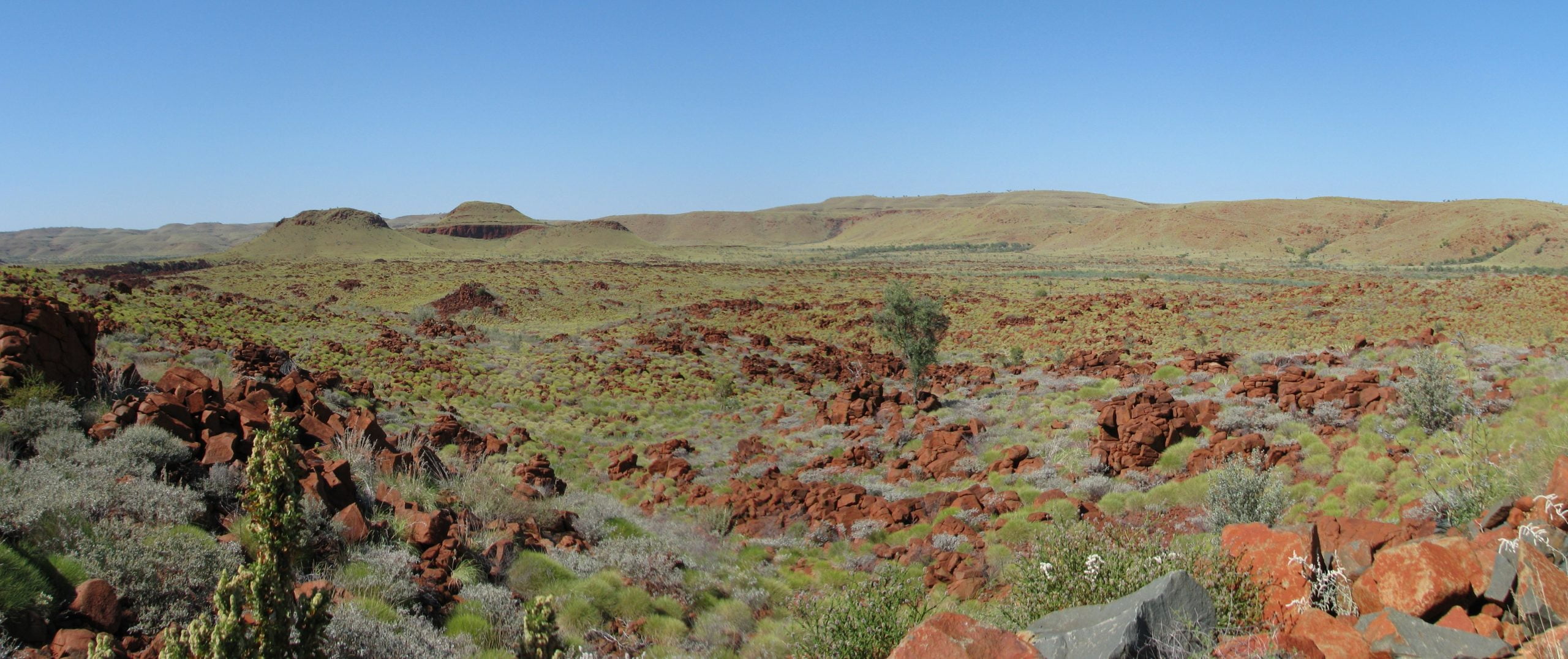 Taking eDNA underground - The Western Australian Biodiversity Science ...