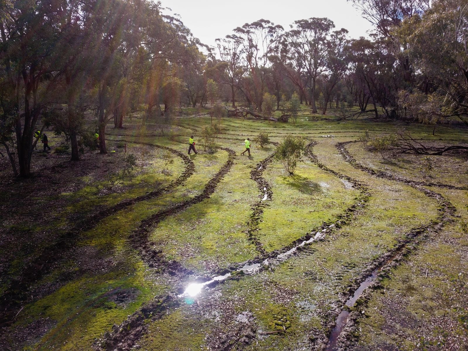 Restoration research priorities - The Western Australian Biodiversity ...