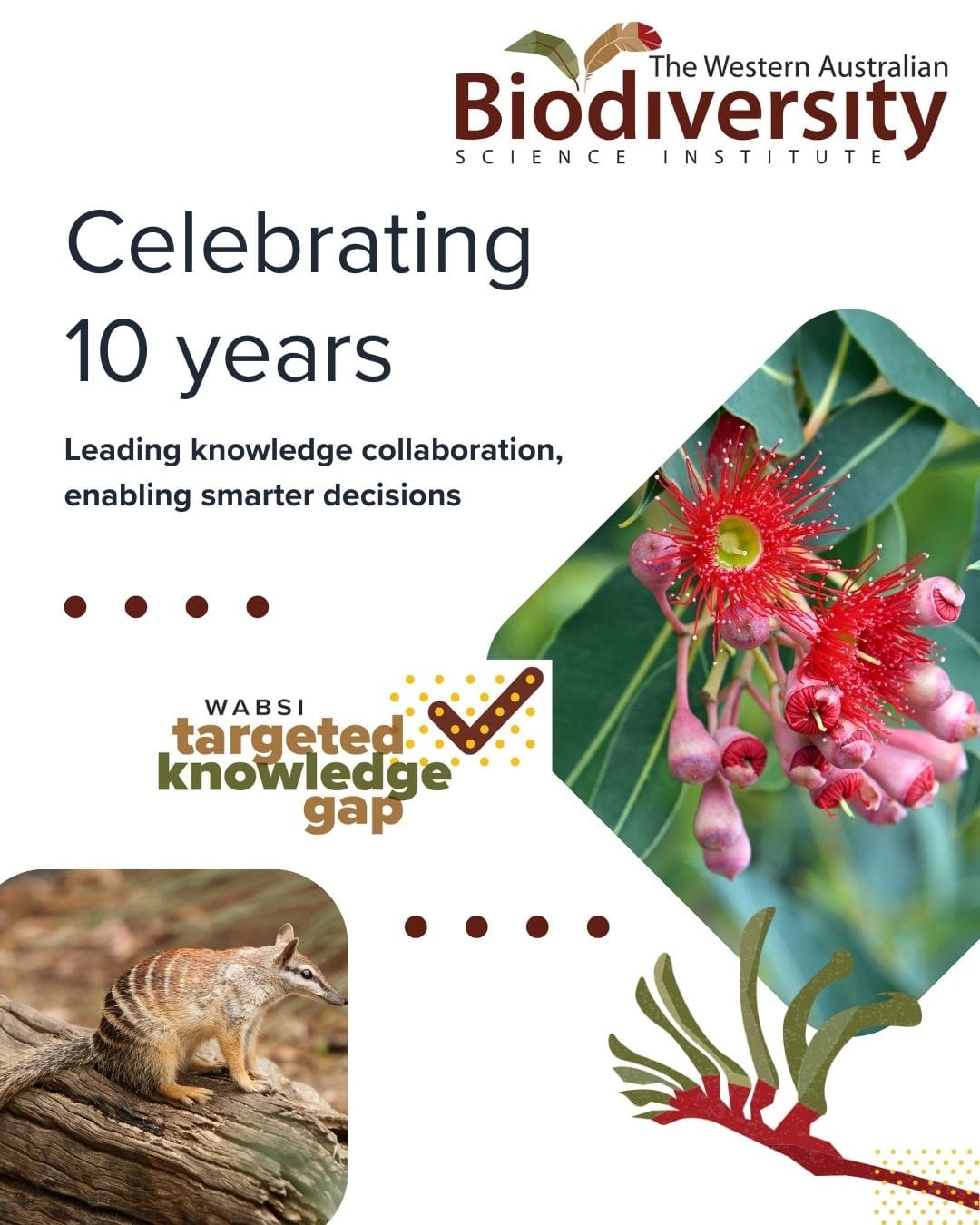 WABSI celebrates 10 years - The Western Australian Biodiversity Science ...